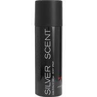 Buy Silver Scent Intense Body Spray 200ml Online at Chemist Warehouse®