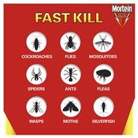 Buy Mortein Fast Knockdown Insect Control Spray 300g Online at Chemist ...
