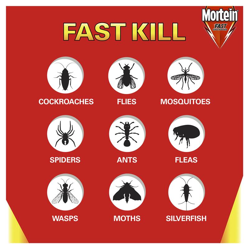 Buy Mortein Fast Knockdown Insect Control Spray 300g Online at Chemist ...