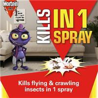 Buy Mortein Fast Knockdown Insect Control Spray 300g Online at Chemist ...