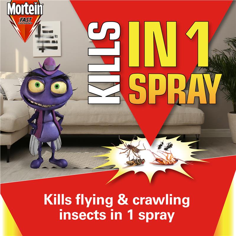 Buy Mortein Fast Knockdown Insect Control Spray 300g Online at Chemist ...
