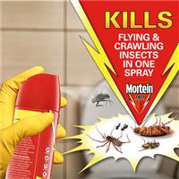 Buy Mortein Fast Knockdown Insect Control Spray 300g Online at Chemist ...