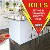 Buy Mortein Fast Knockdown Insect Control Spray 300g Online at Chemist ...