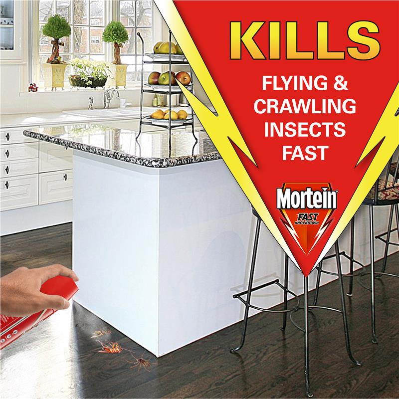 Buy Mortein Fast Knockdown Insect Control Spray 300g Online at Chemist ...