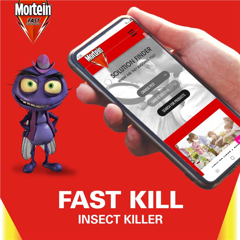 Buy Mortein Fast Knockdown Insect Control Spray 300g Online at Chemist ...