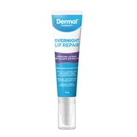 Buy Dermal Therapy Overnight Lip Repair 10g Online at Chemist Warehouse®