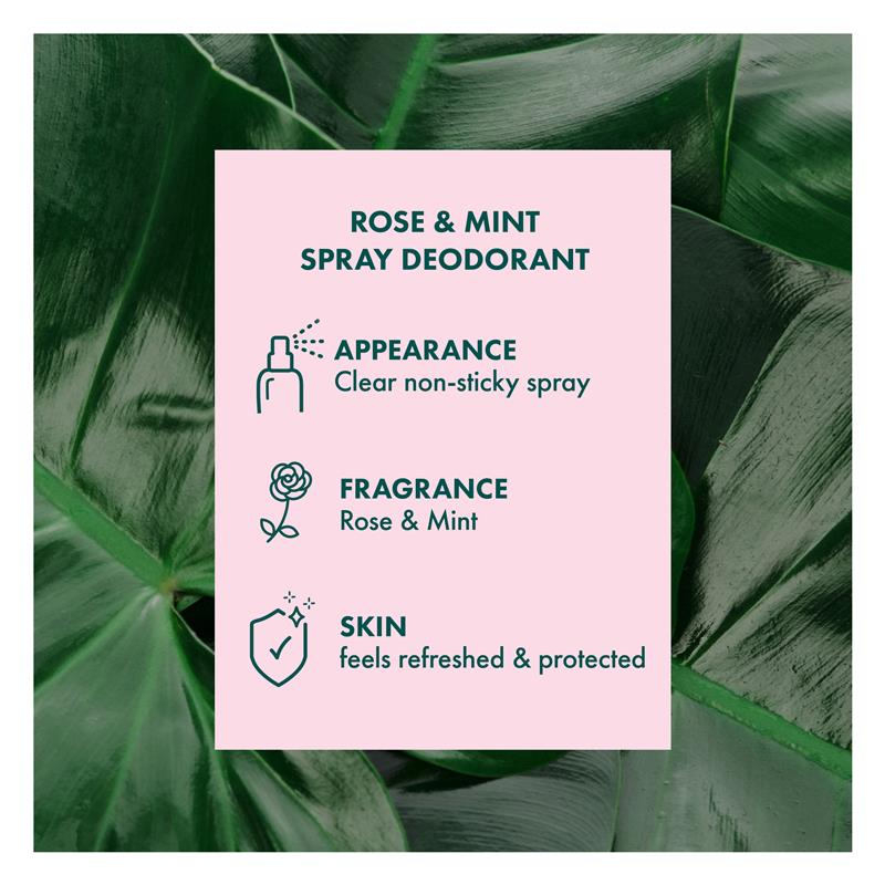 Buy A'kin Rose & Mint Deodorant Spray 150ml Online at Chemist Warehouse®