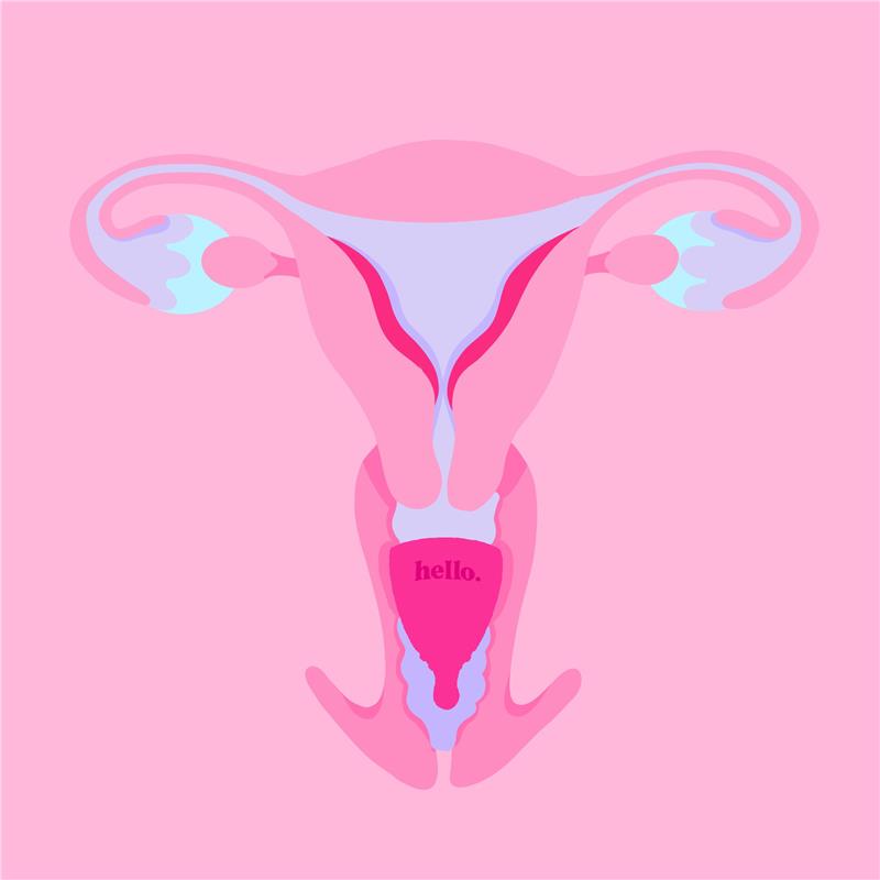 Buy Hello Period Menstrual Cup Average Cervix Large Flow Online at ...
