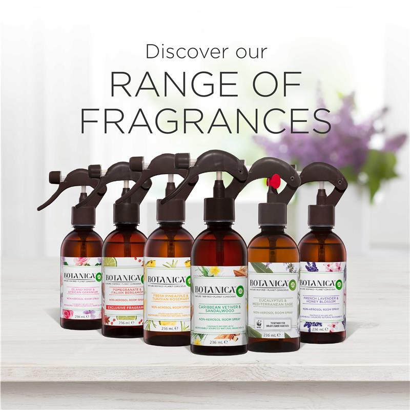 Buy Air Wick Botanica Room Spray Caribbean Vetiver & Sandalwood 236ml ...