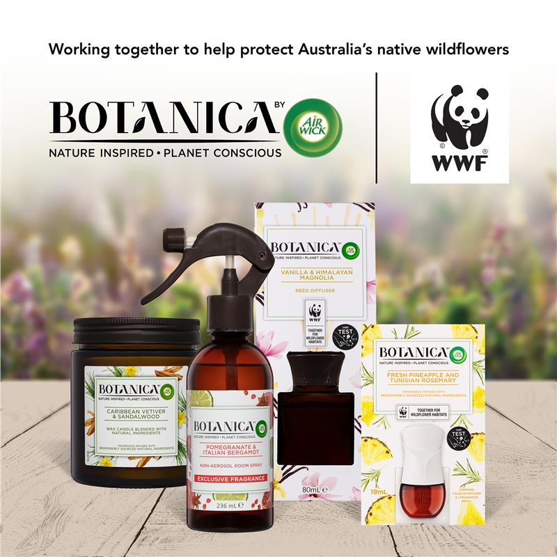 Buy Air Wick Botanica Room Spray Island Rose & African Geranium 236ml ...