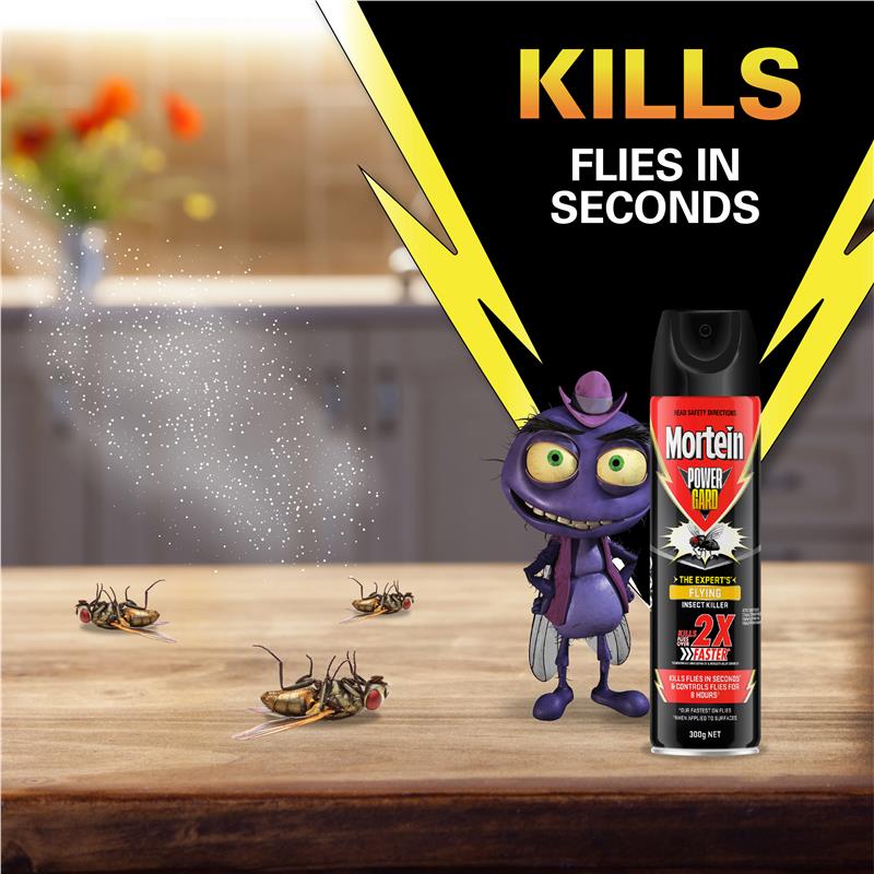 Buy Mortein PowerGard Flying Insect Killer 300g Online at Chemist ...