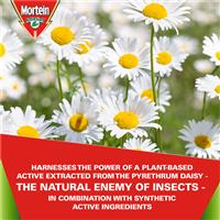 Buy Mortein NaturGard Multi-Insect Automatic Spray Kit Fragrance Free ...