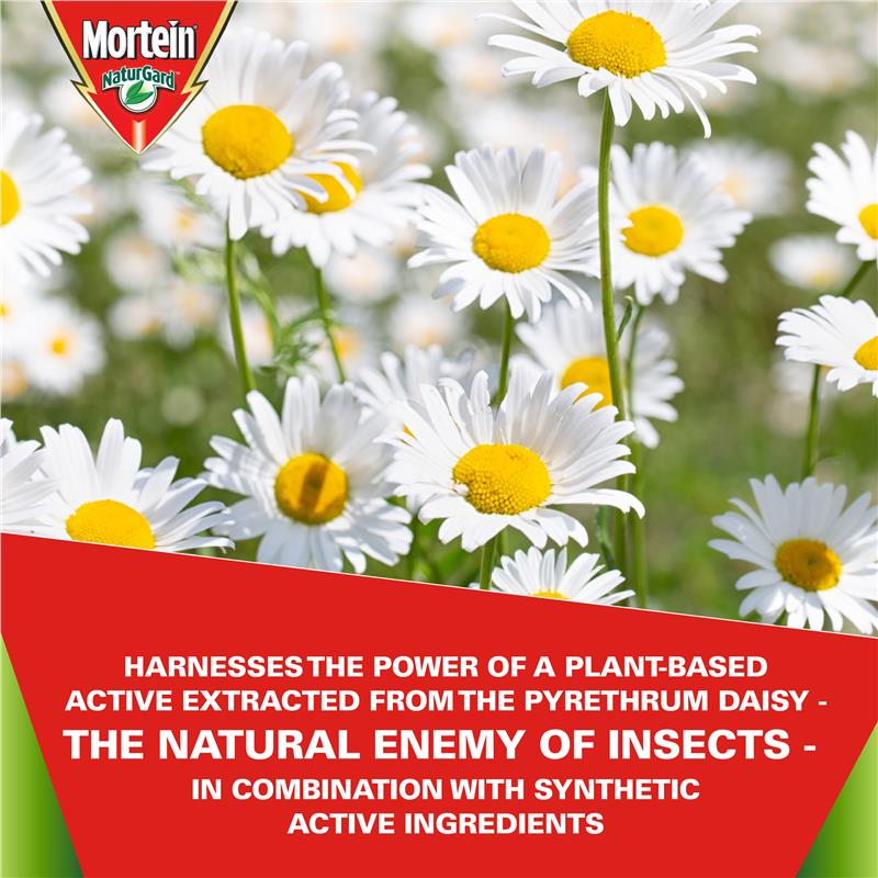 Buy Mortein NaturGard Multi-Insect Automatic Spray Kit Fragrance Free ...
